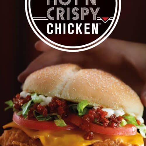 McDonald’s Project Everin | VoxEureka